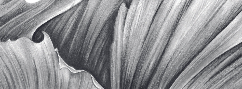 Graphite & Charcoal Pencils – Winsor & Newton EU