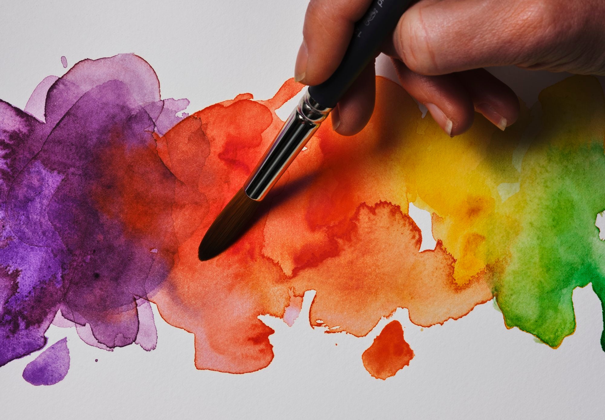 2025 European Watercolour Contest – Winsor & Newton EU
