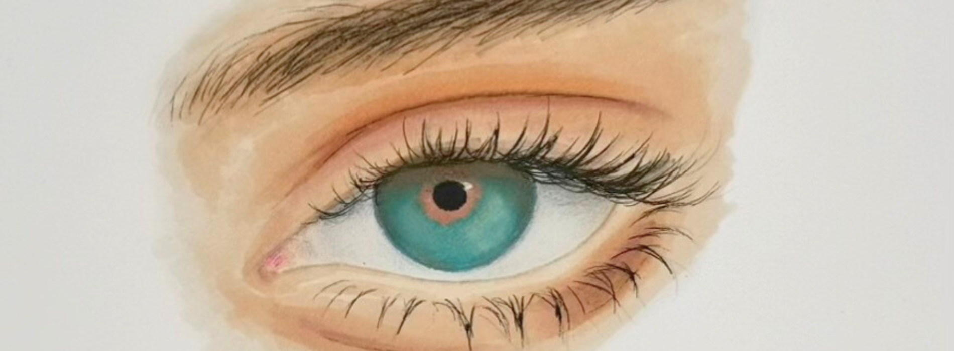 How to draw blue eyes – Winsor & Newton EU